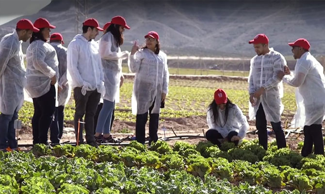 Nuevas Oportunidades De Empleo En El Sector Agroalimentario
